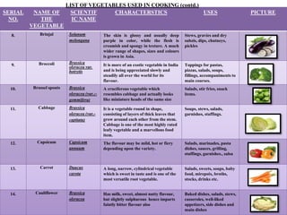 Common vegetables and spices used in cooking | PPTX | Cooking | Food ...