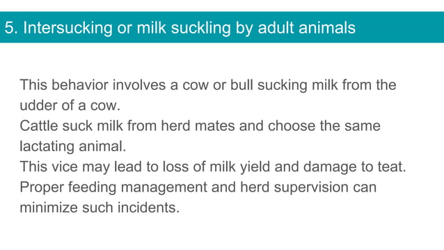 Common vices of animals (livestock) | PPTX | Veterinary Medicine | Pets