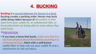 Common Vices Of Horses With Their Preventive Measures.pptx