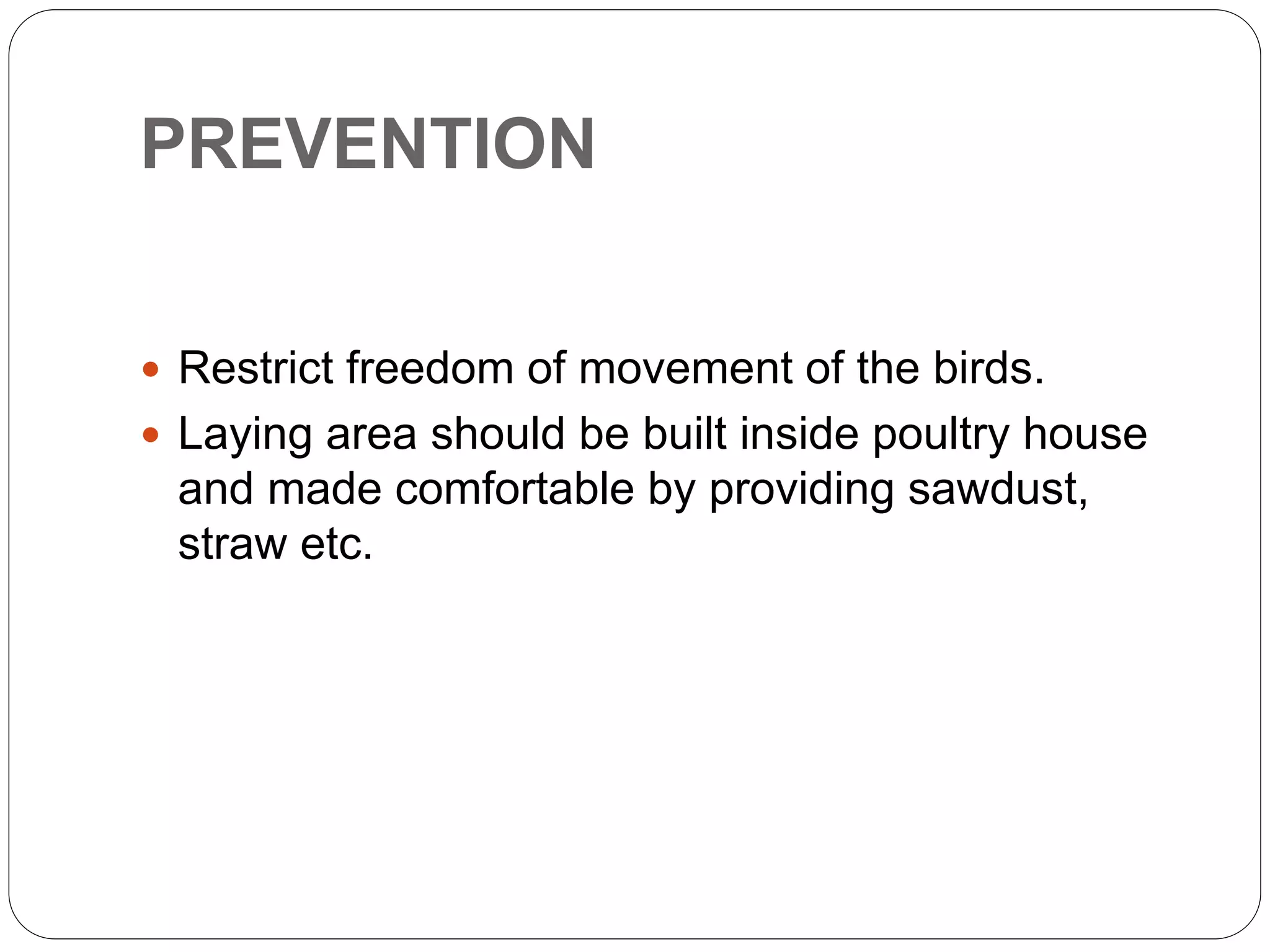 Common vices of poultry and their prevention | PPTX