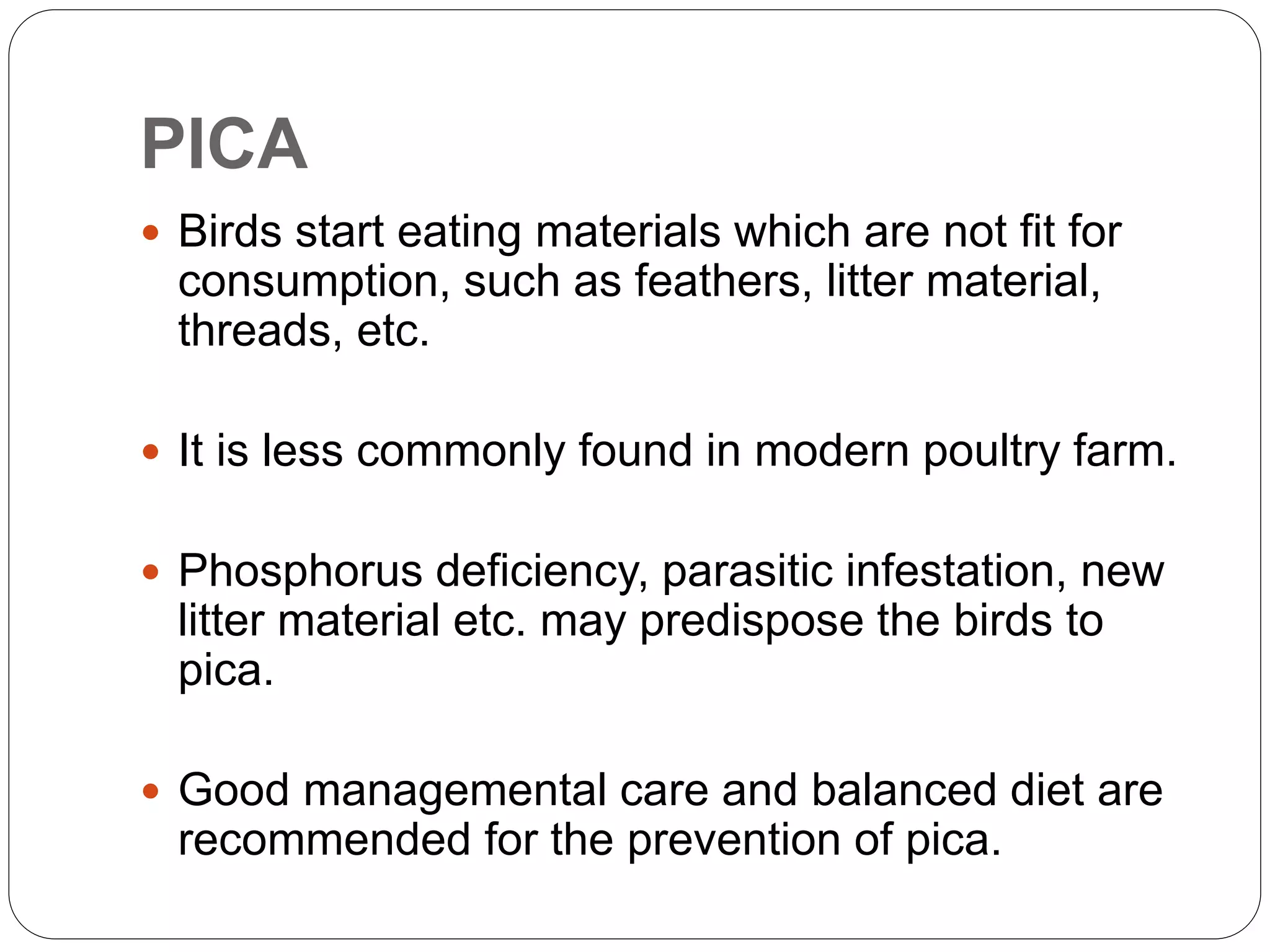 Common vices of poultry and their prevention | PPTX