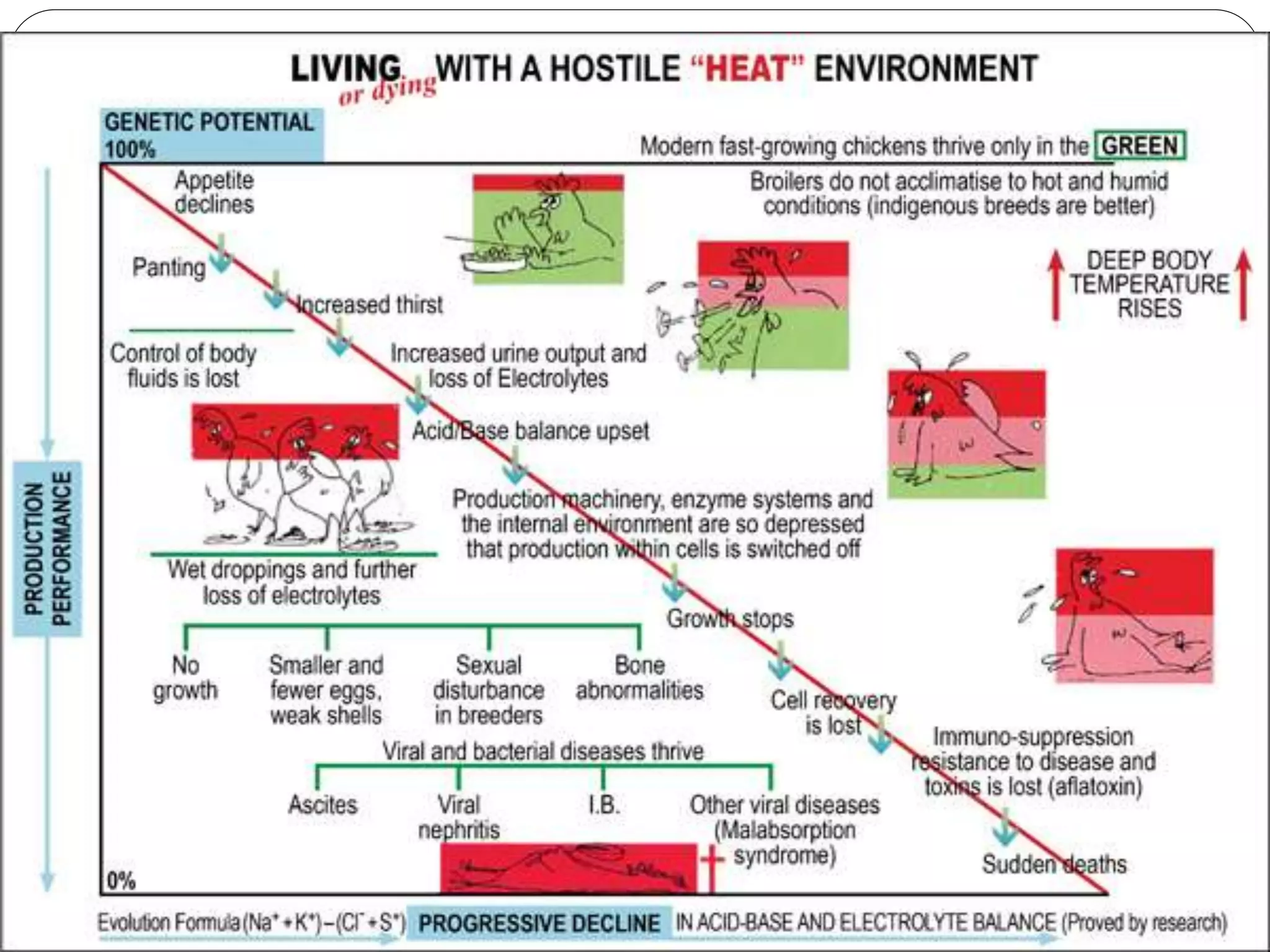 Common vices of poultry and their prevention | PPTX