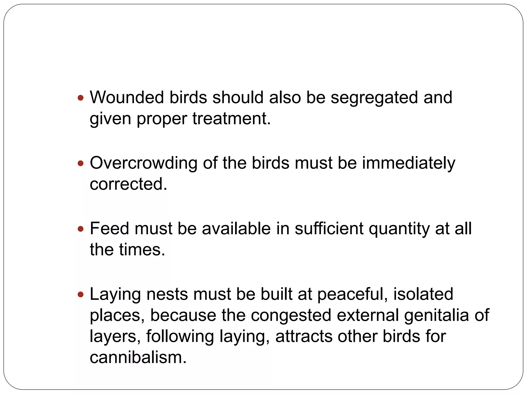 Common vices of poultry and their prevention | PPTX