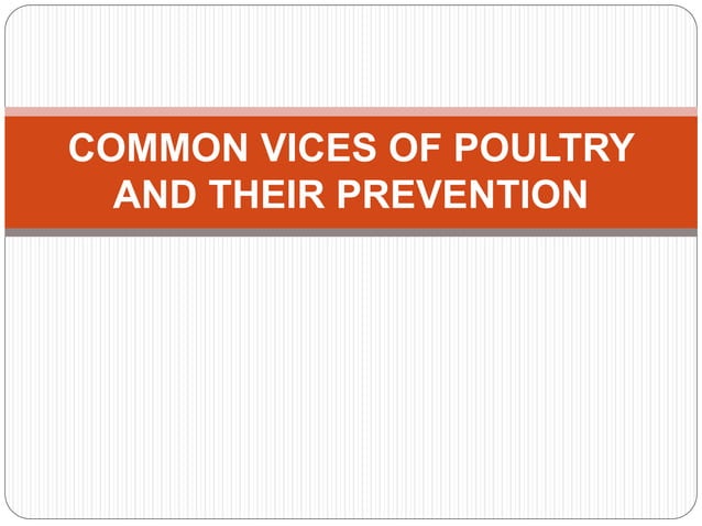 Common vices of poultry and their prevention | PPTX