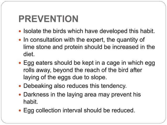 Common vices of poultry and their prevention | PPTX