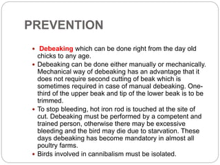 Common vices of poultry and their prevention | PPTX