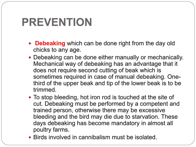 Common vices of poultry and their prevention | PPTX