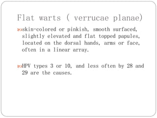 Comprehensive Overview of Common Viral Infections: HSV, Molluscum ...