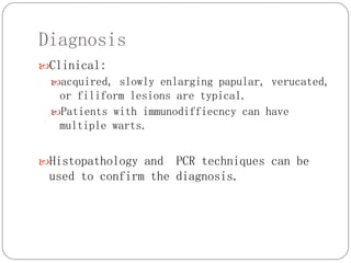 Comprehensive Overview of Common Viral Infections: HSV, Molluscum ...