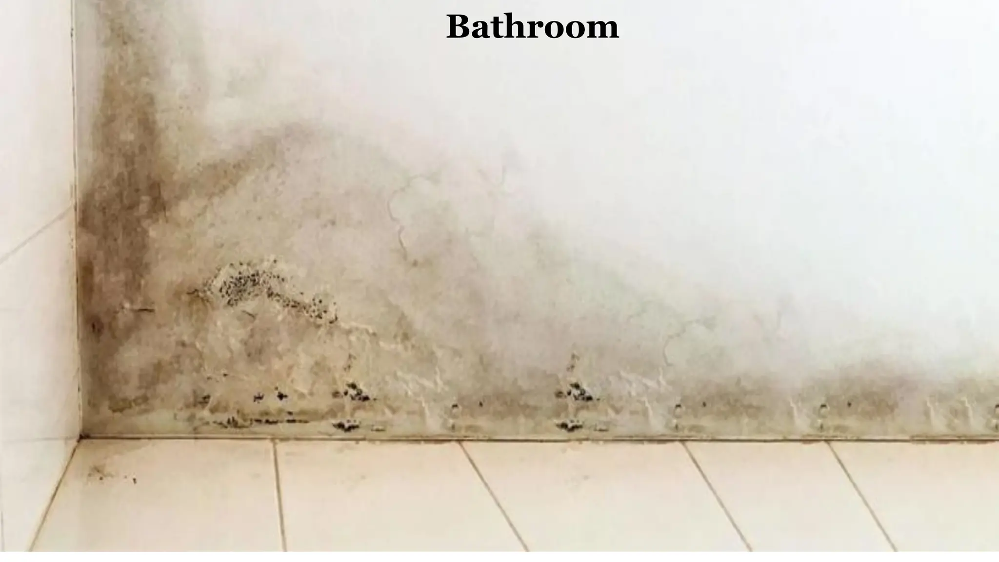 Common Waterproofing Problems & Effective Solutions.pdf