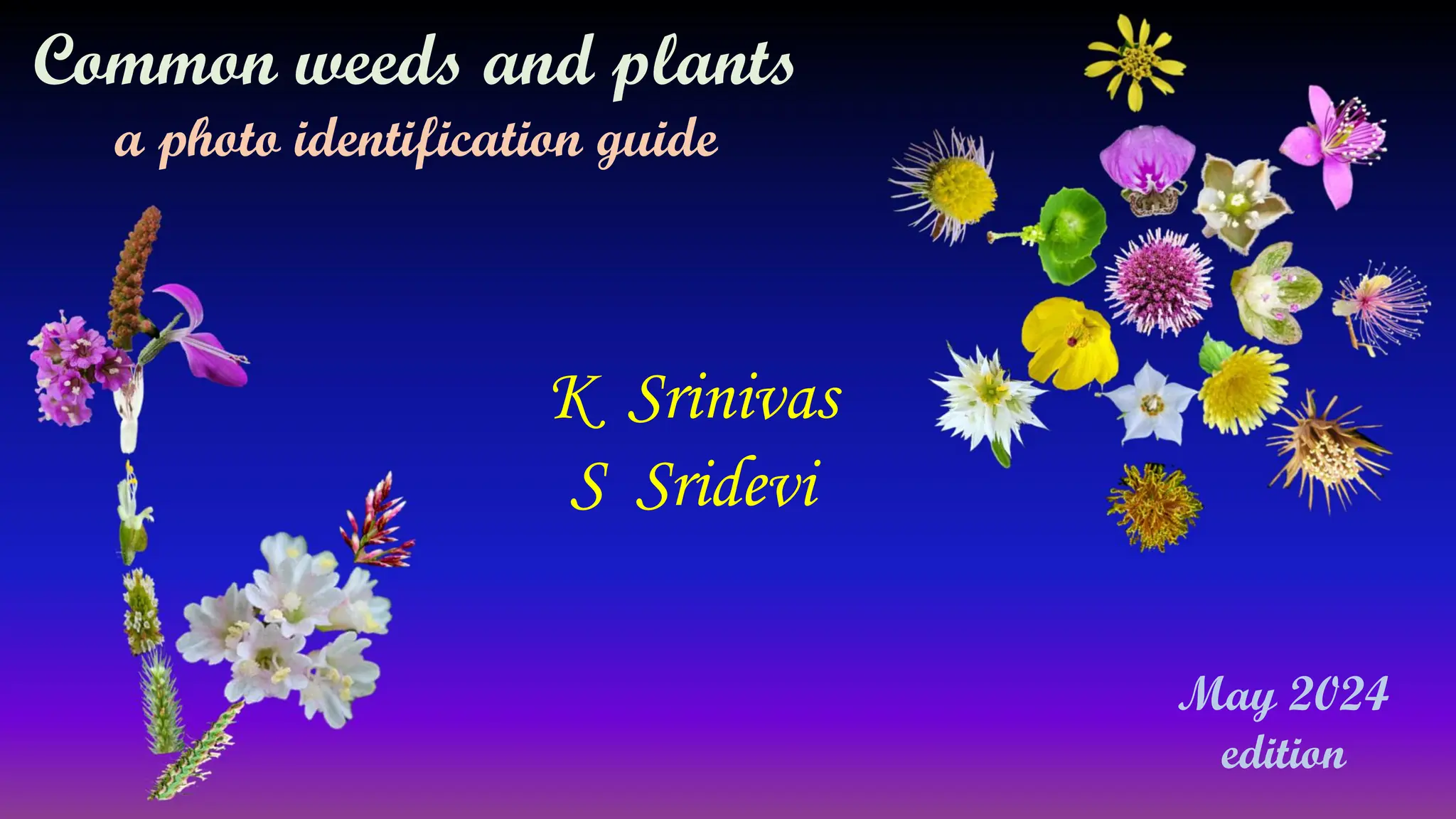 Identification of Common weeds and plants | PDF