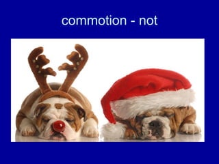 Commotion | PPT
