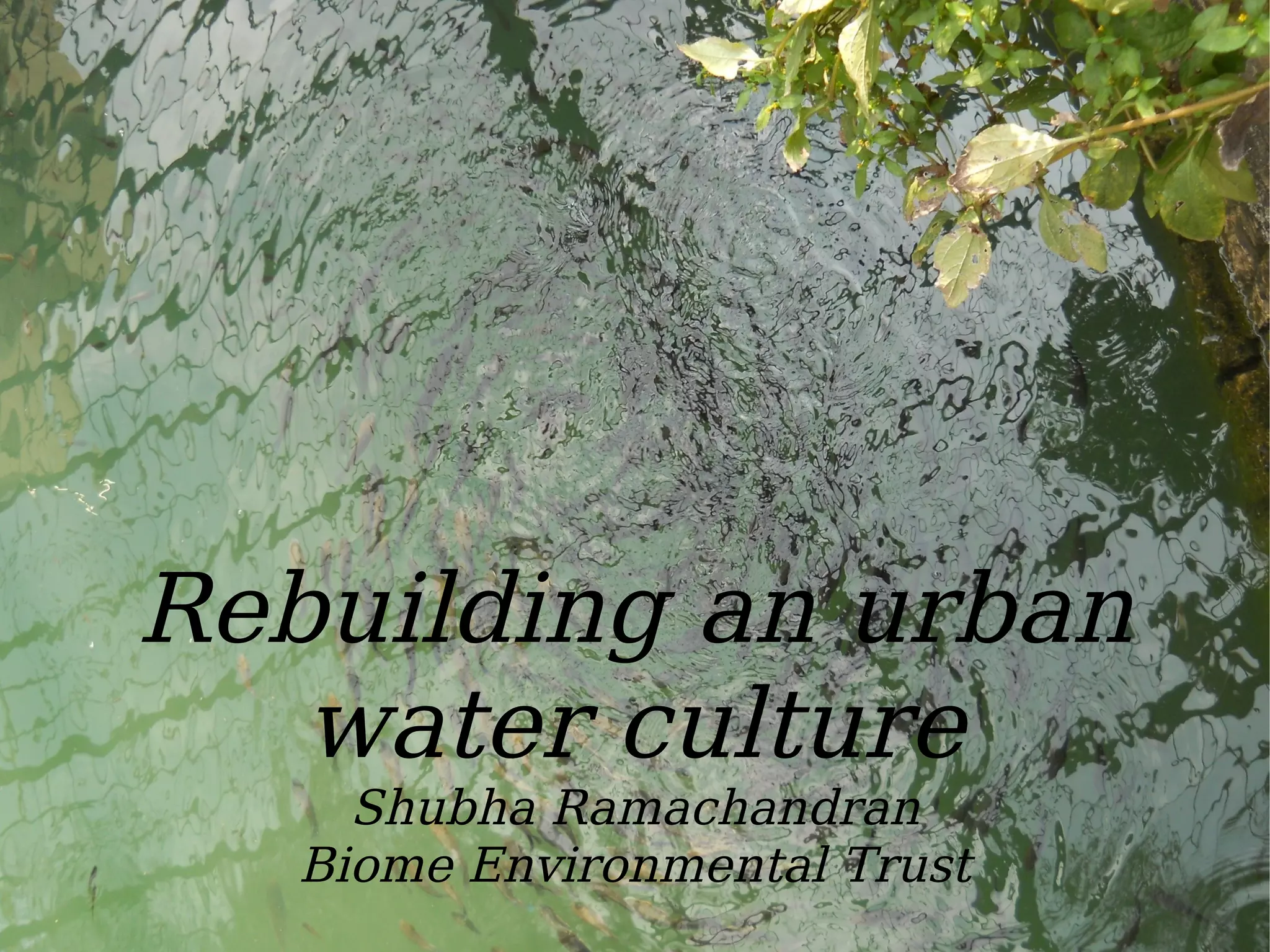 Dakshin Pinakini River revival project | PDF