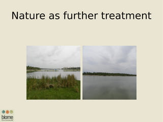 Dakshin Pinakini River revival project | PDF