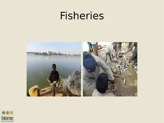 Dakshin Pinakini River revival project | PDF