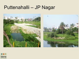Dakshin Pinakini River revival project | PDF