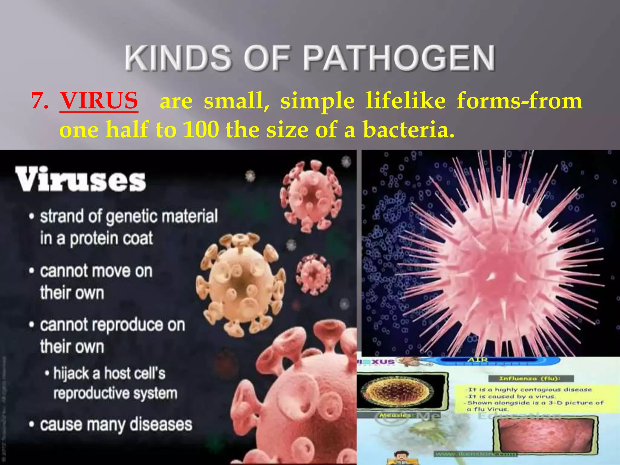 COMMUNICABLE DISEASE AND PATHOGENS2 (1).pptx