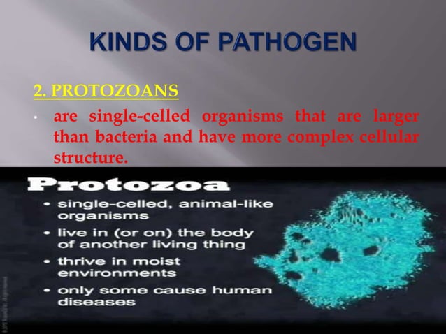 COMMUNICABLE DISEASE AND PATHOGENS2 (1).pptx