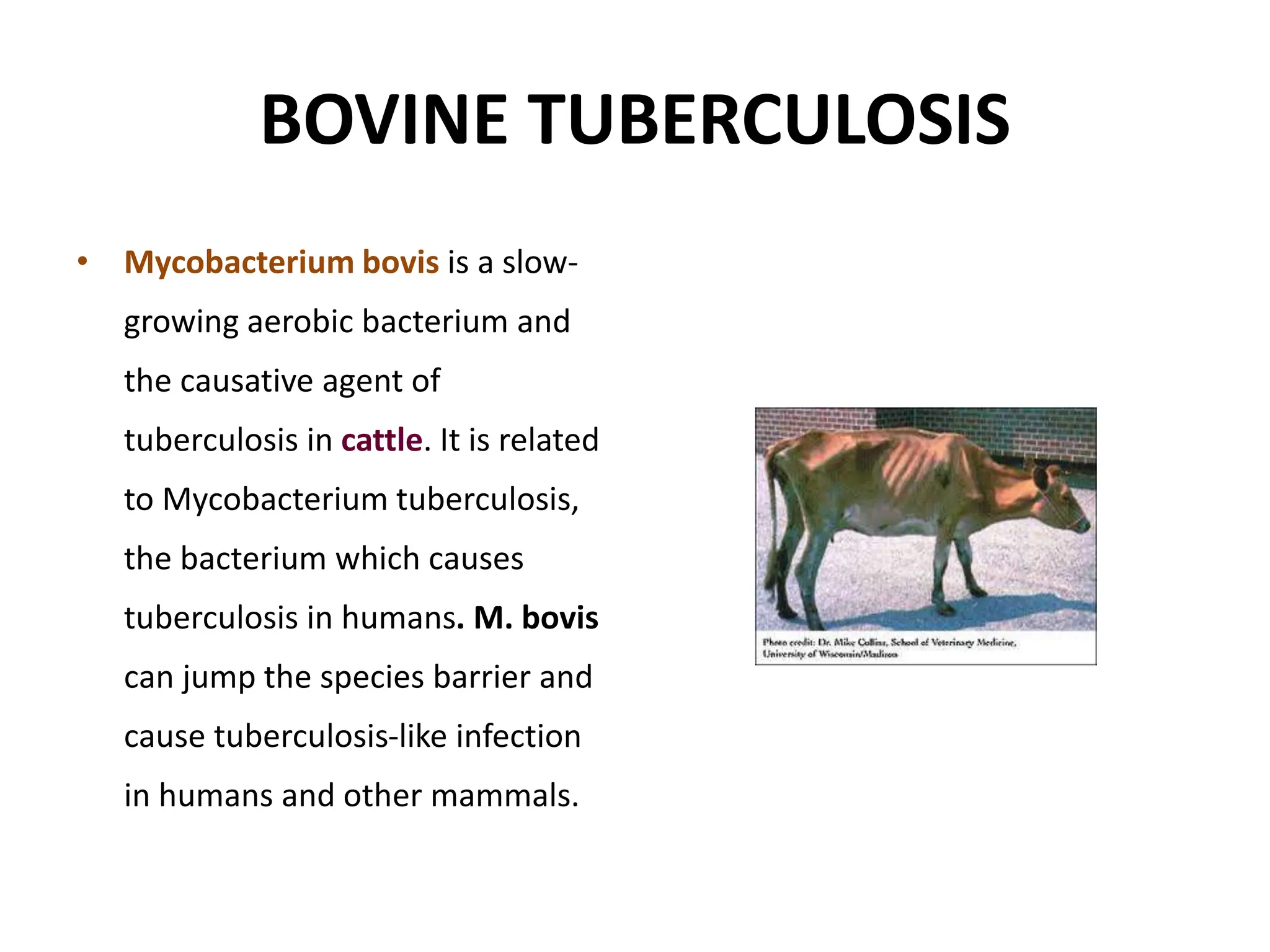 COMMUNICABLE DISEASES medical surgical nursing.pptx