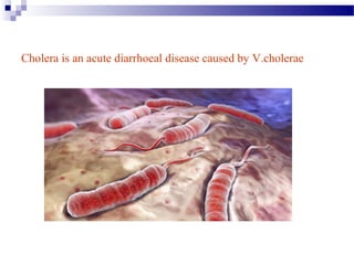 Communicable disease - intestinal infections | PPT