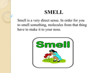 Communicate by dance & smell | PPTX