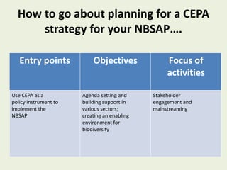 Communicating the NBSAP mainstreaming imperative | PPTX
