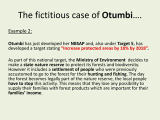 Communicating the NBSAP mainstreaming imperative | PPTX