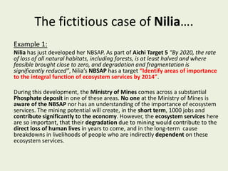 Communicating the NBSAP mainstreaming imperative | PPT