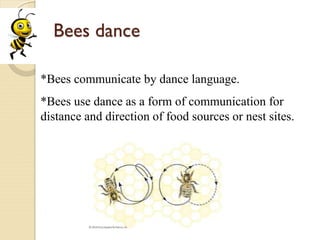 Communication | PDF