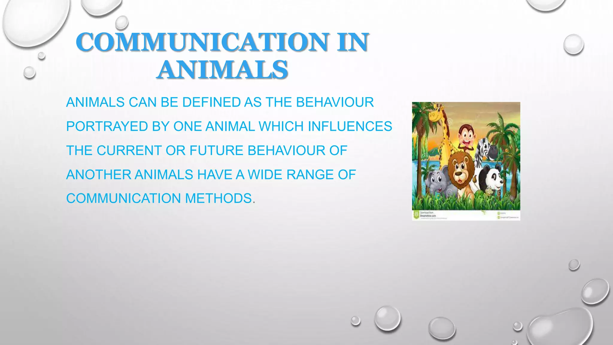 Communication and Its Type | PPTX