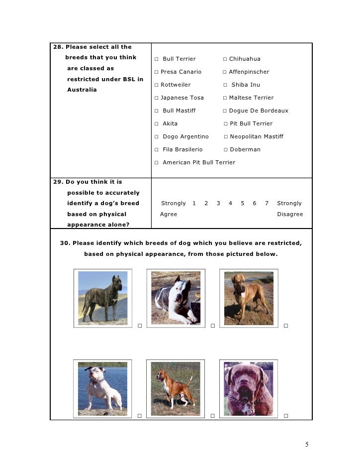 Media Influence and Breed Specific Legislation