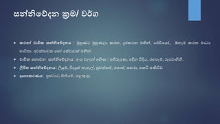 Communication - sinhala | PPTX
