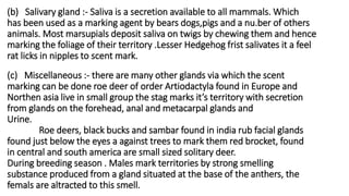 communication 2nd unit.pptx