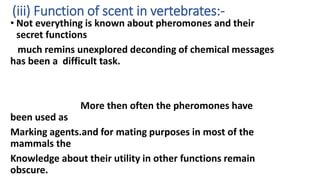 communication 2nd unit.pptx