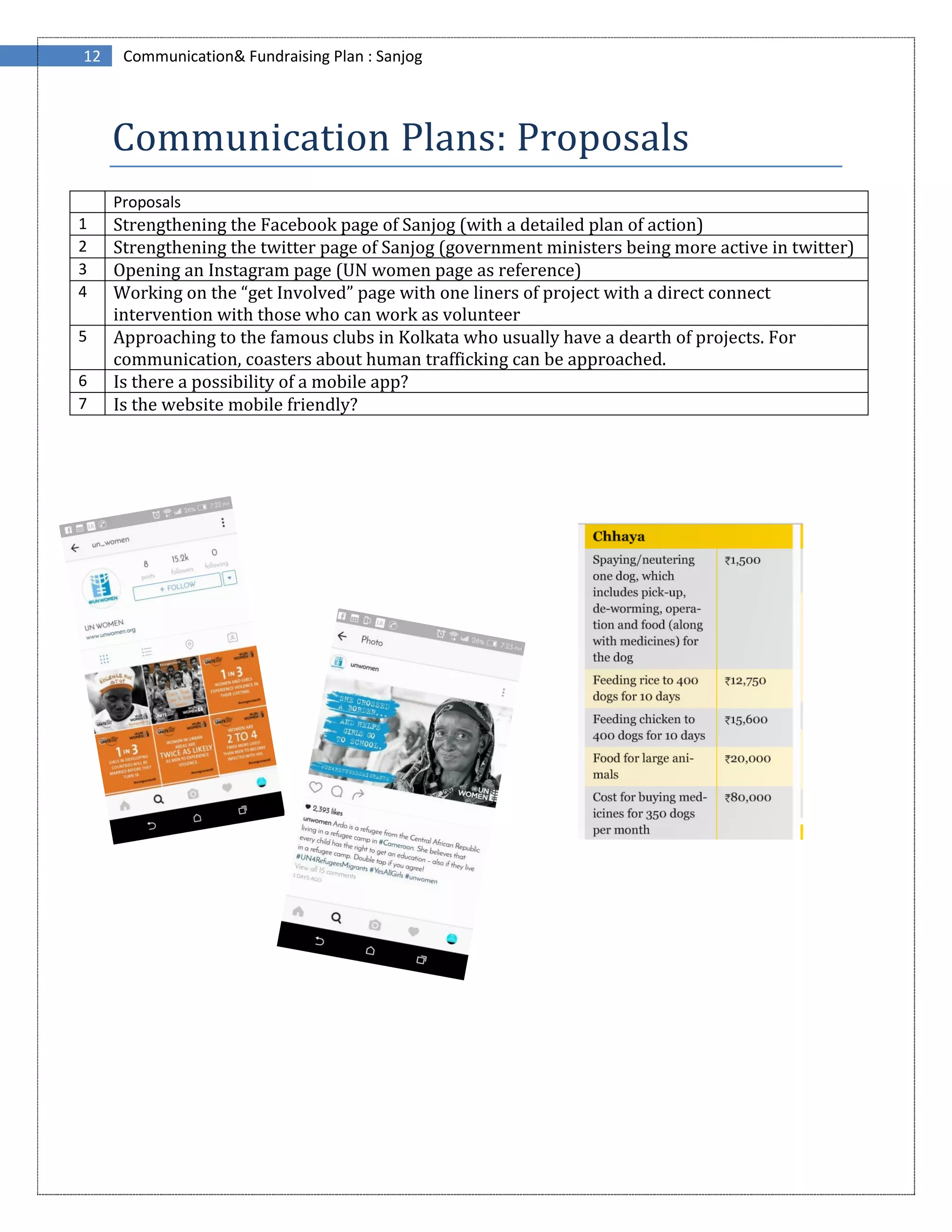 Communication and fundraising plan | PDF