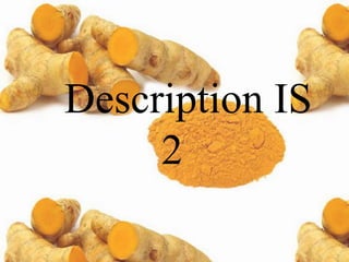 Turmeric to fight mold. | PPTX