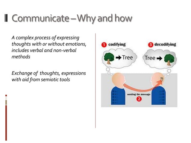 Communication – assumptions & opinions | PPTX | Science