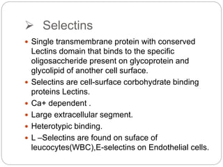 Communication between cells and their environment.pptx