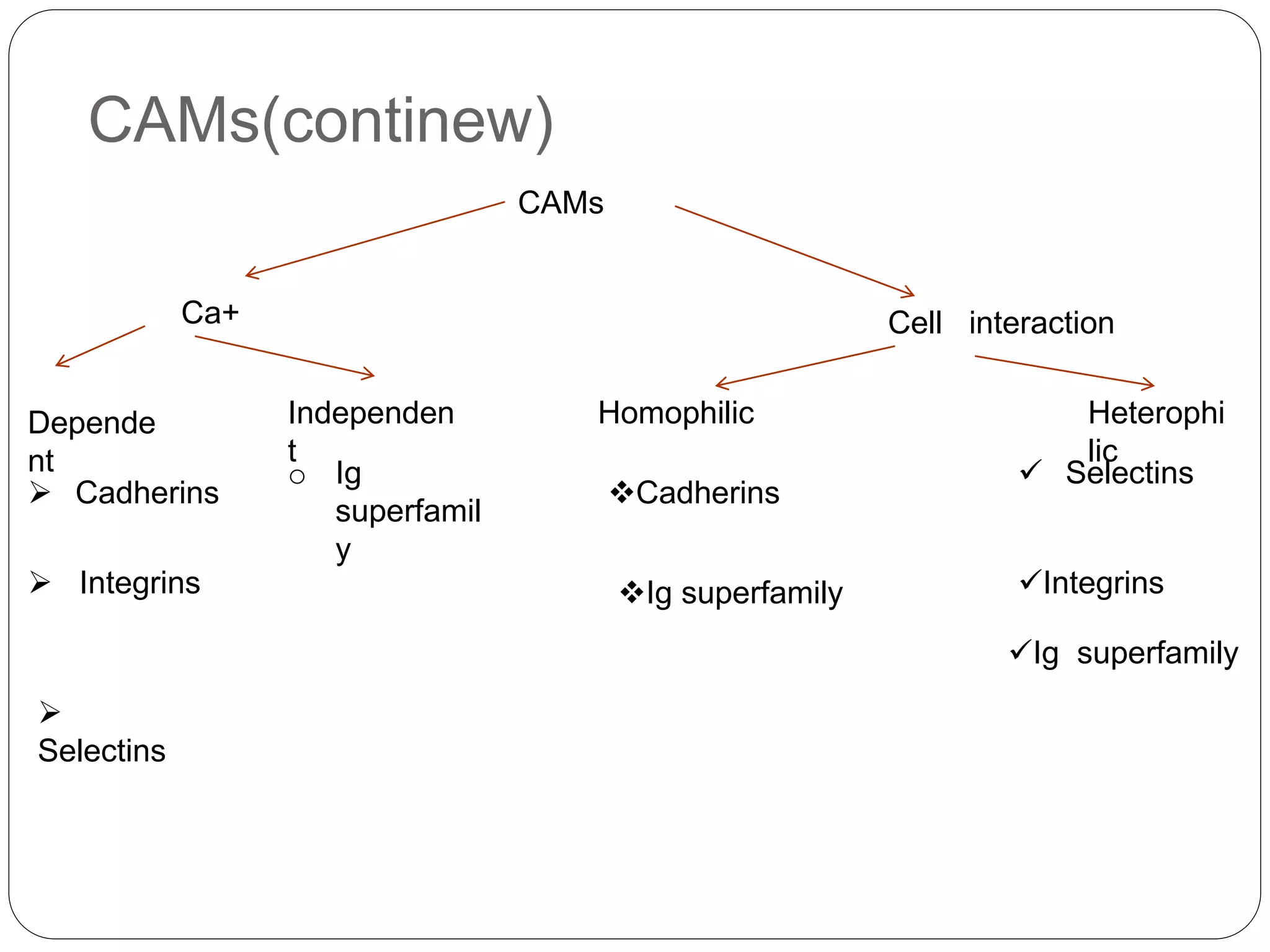 Communication between cells and their environment.pptx