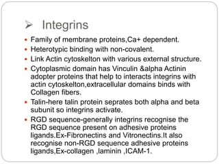 Communication between cells and their environment.pptx
