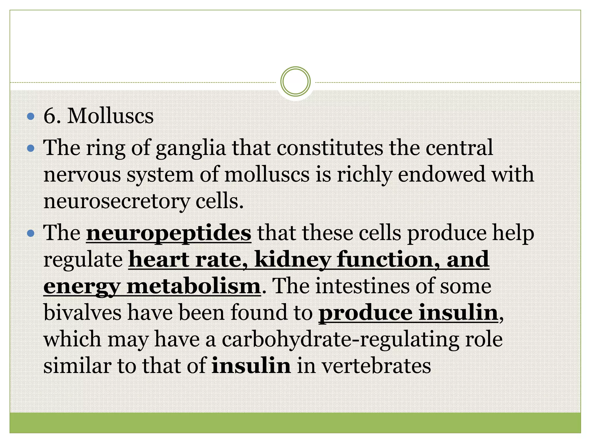 The Endocrine System and Chemical Messengers | PPTX | Hormonal ...