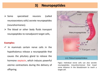 Communication III, types , structures and | PPT