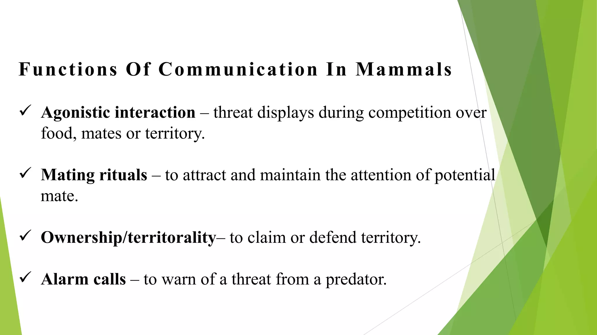 Communication in mammals | PPTX