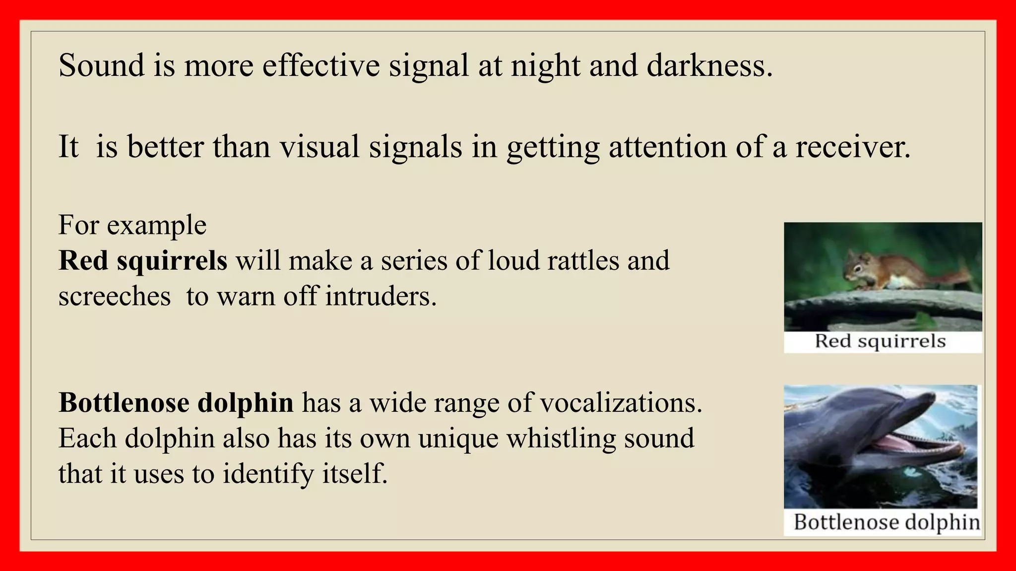 Communication in mammals | PPTX