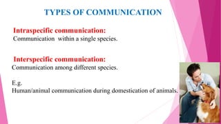 Communication in mammals | PPTX