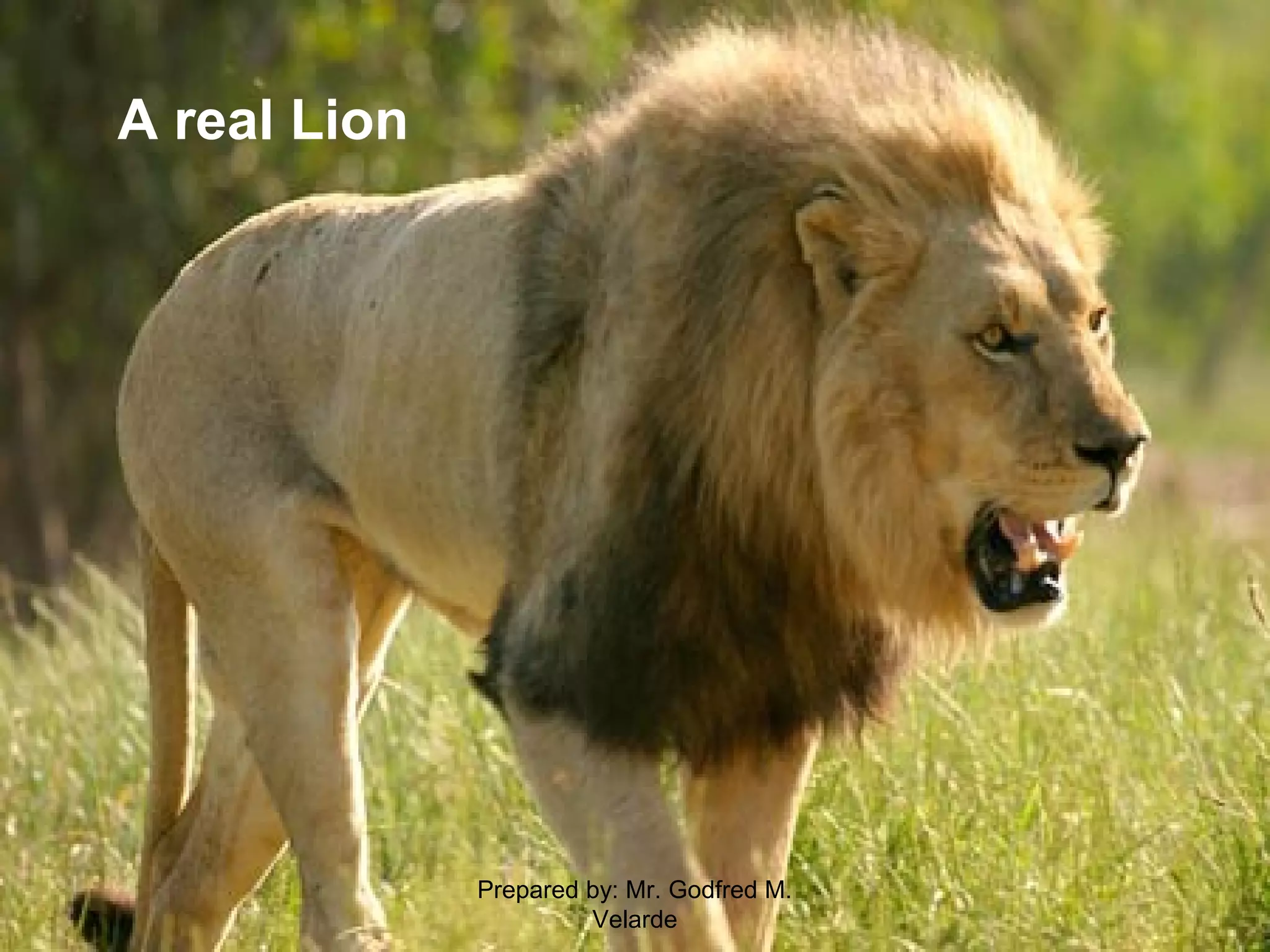 Communication revolution | PPT