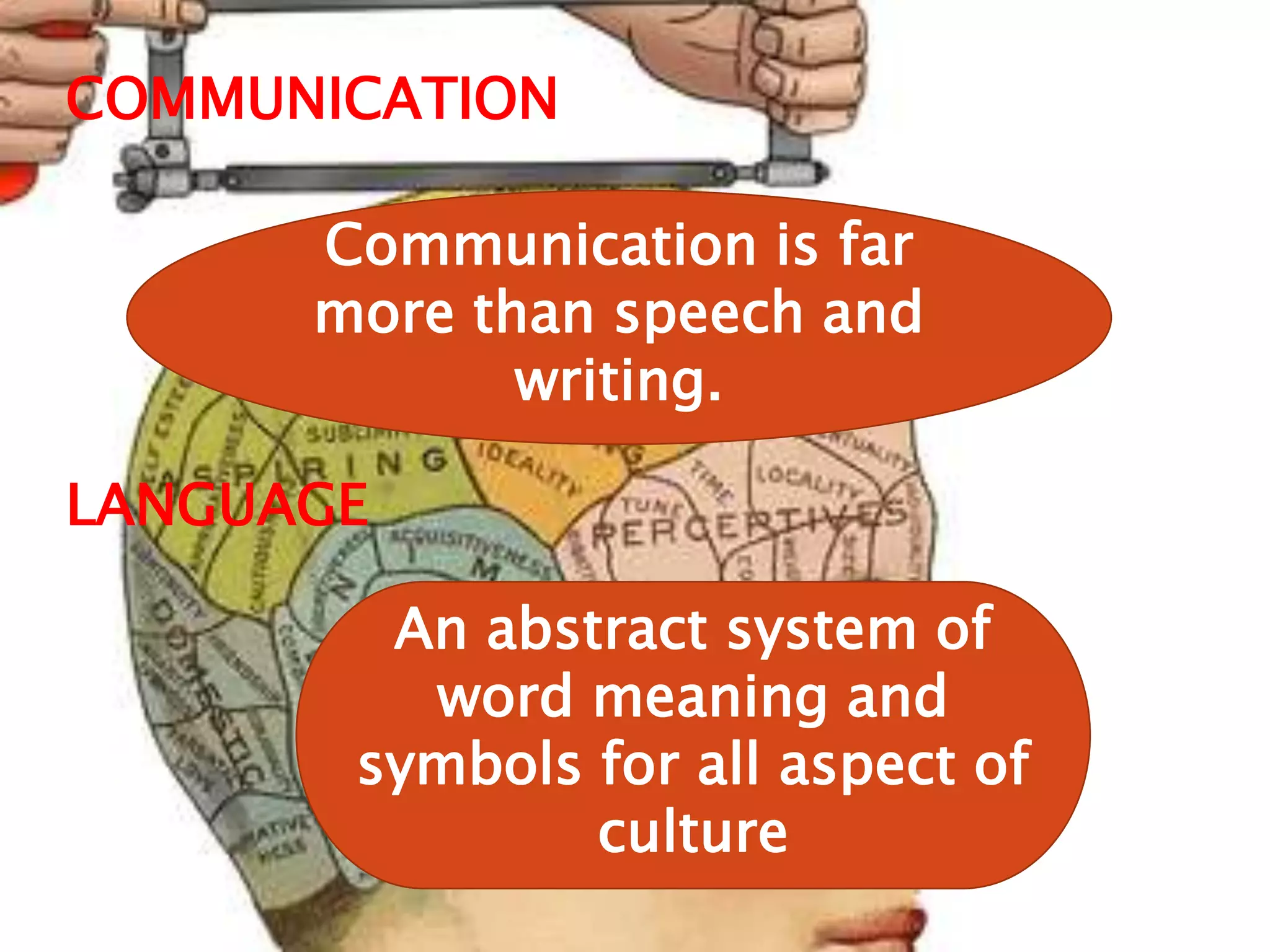 Communications and language. Marcelo | PPT