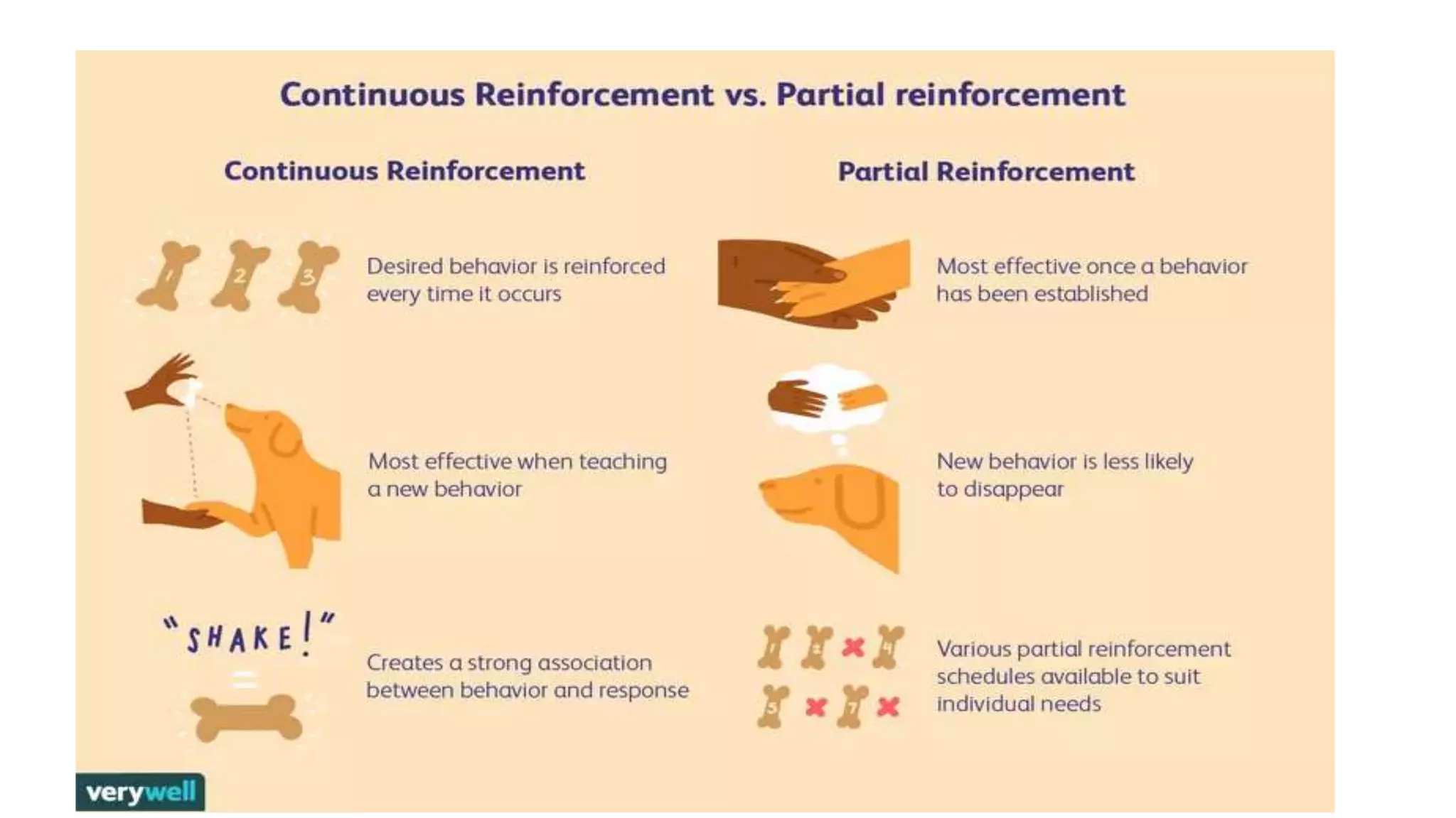 Communicative Behaviors -SLP.pptx