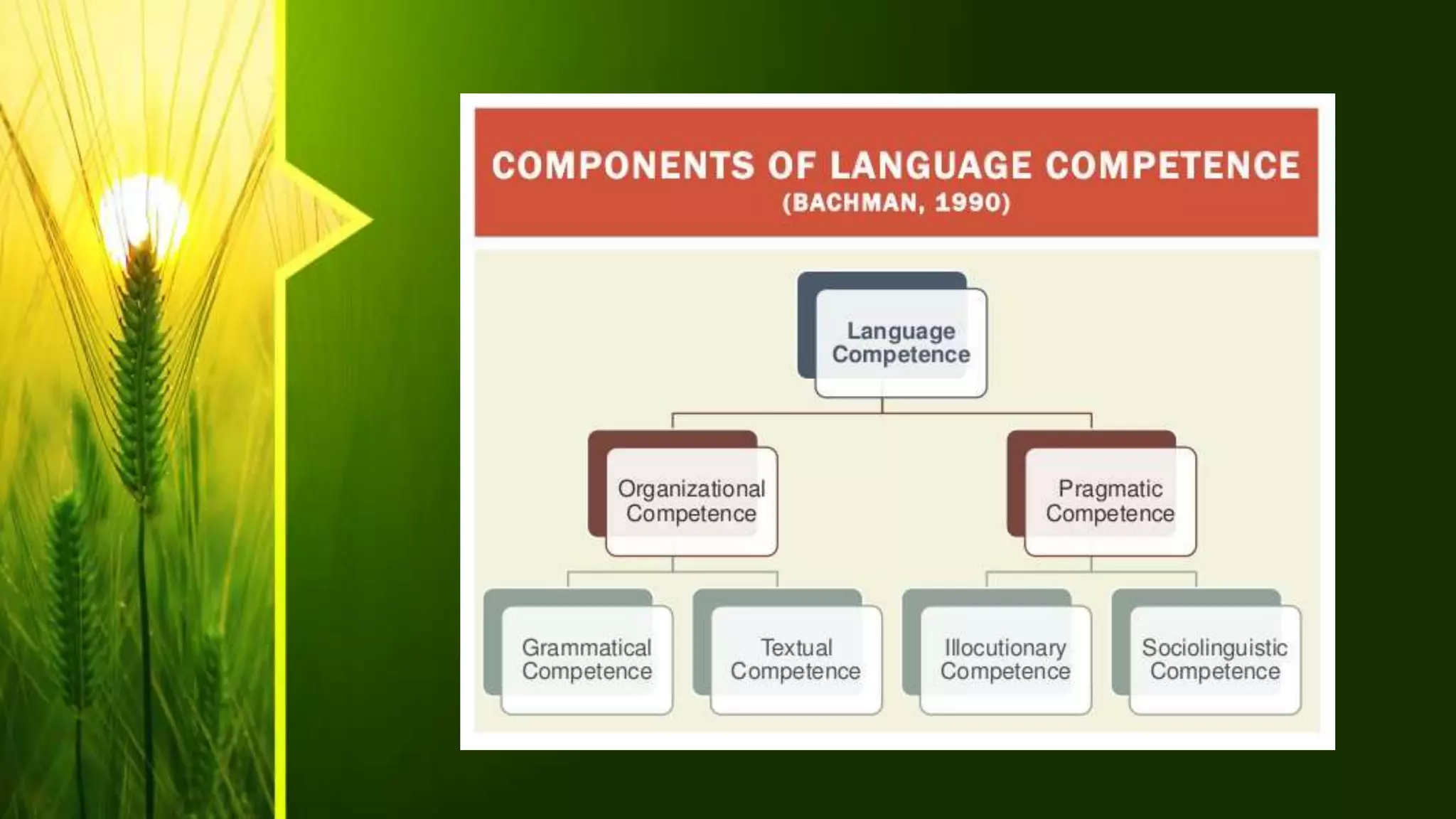 Communicative competence | PPTX