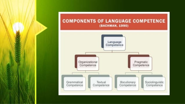 Communicative competence